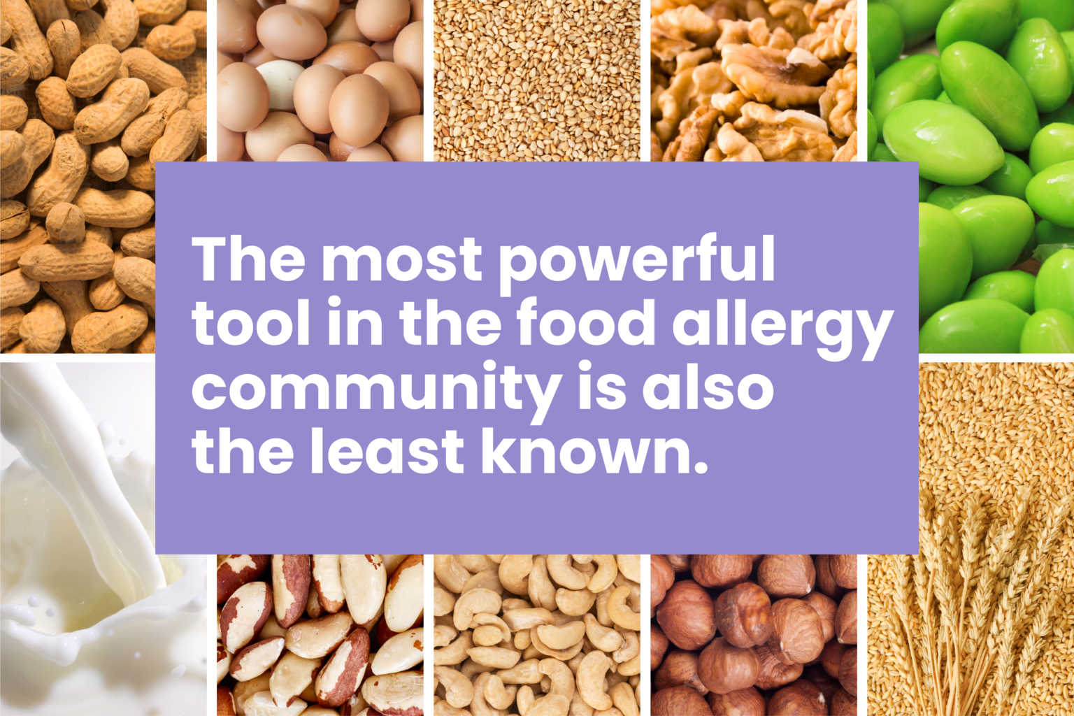 Allergen Component Testing 101 - Spokin