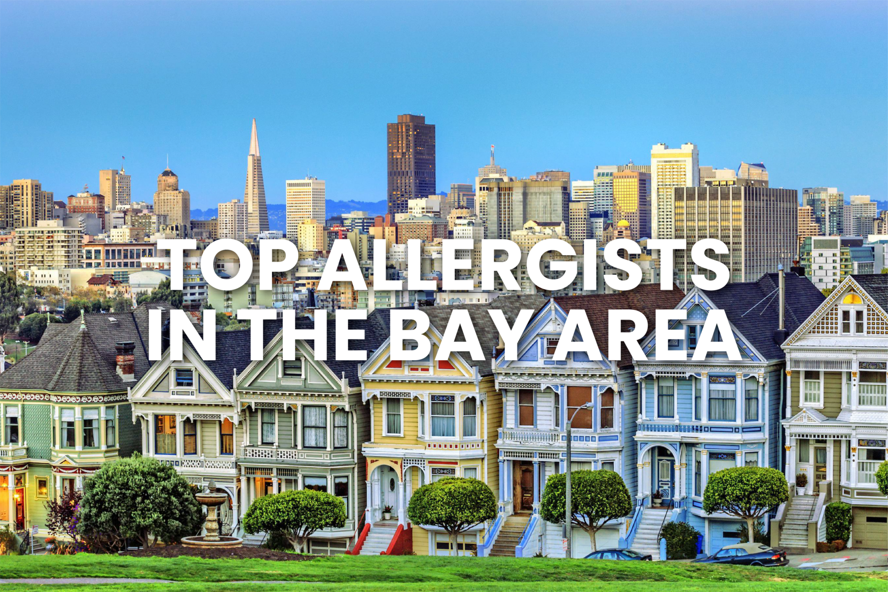 5 Top Rated Allergists in the Bay Area - Spokin
